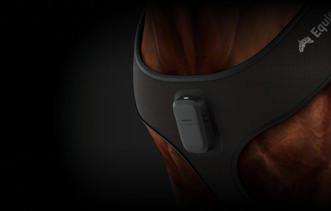 V-PRO – Smart Equine Monitoring | Equimetrics