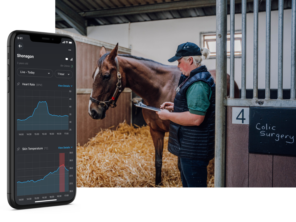 How it Works – Smart Equine Monitoring | Equimetrics