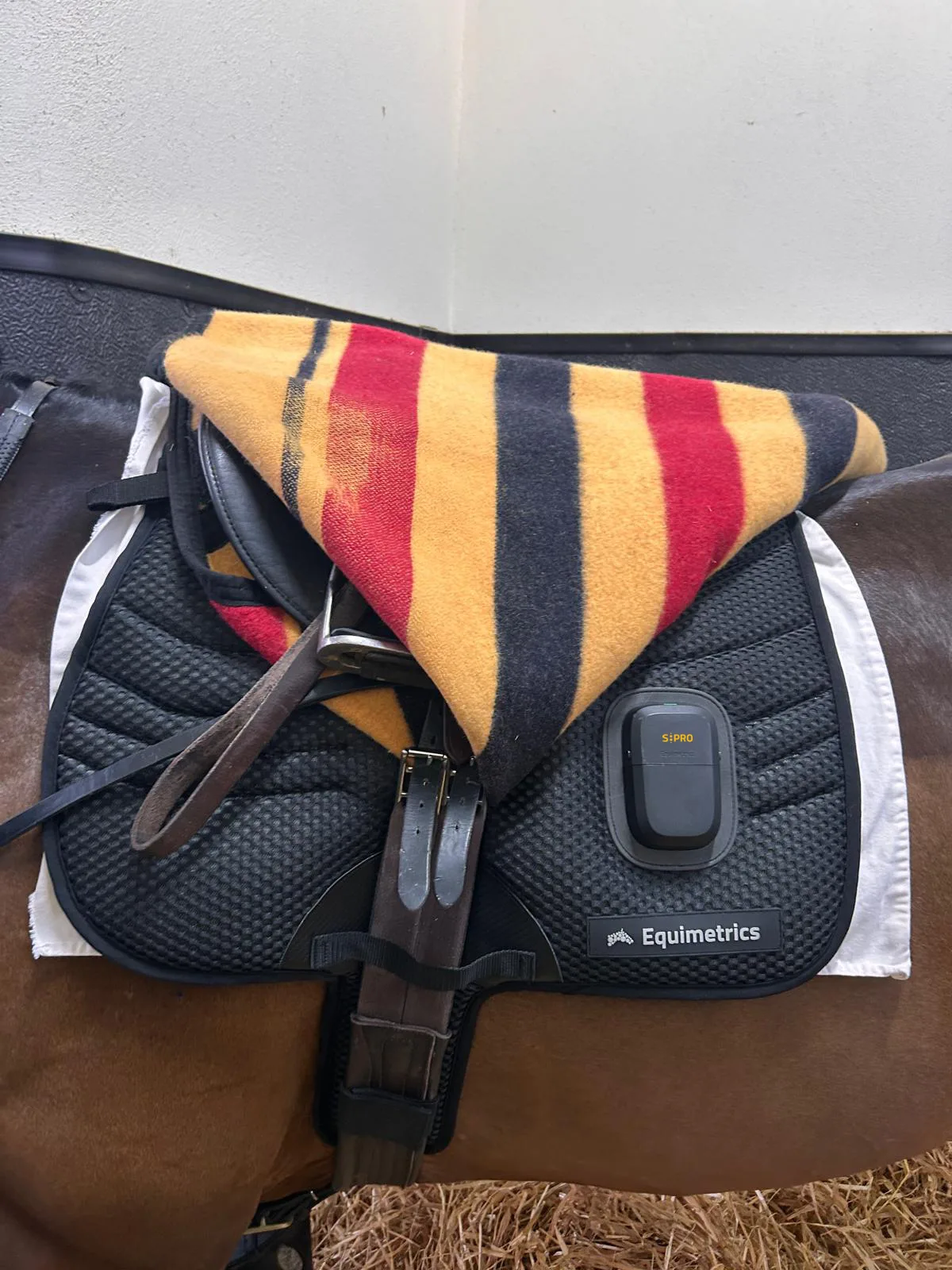 PHOTO-2025-01-17-08-50-25 copy – Smart Equine Monitoring | Equimetrics