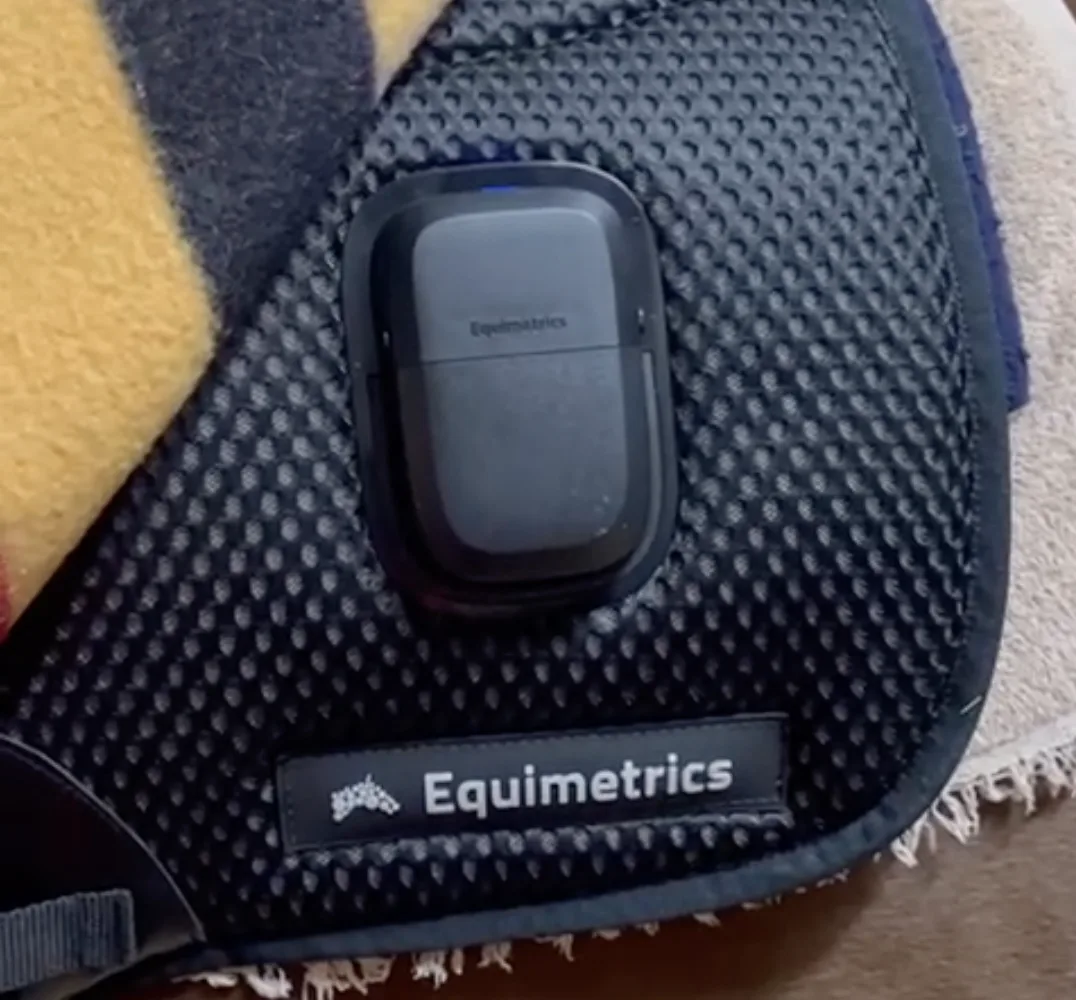 S-PRO – Smart Equine Monitoring | Equimetrics